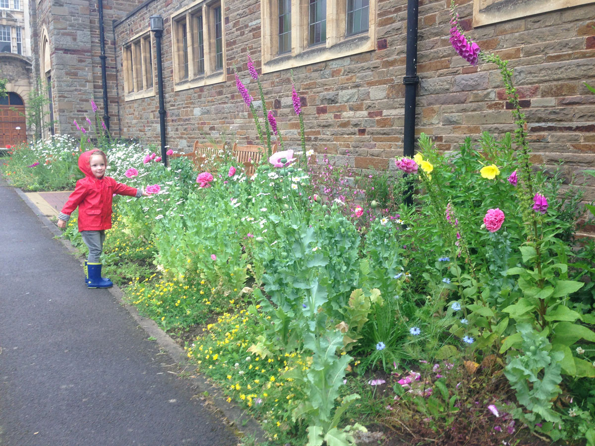 Nanny Work - Savvy Nanny